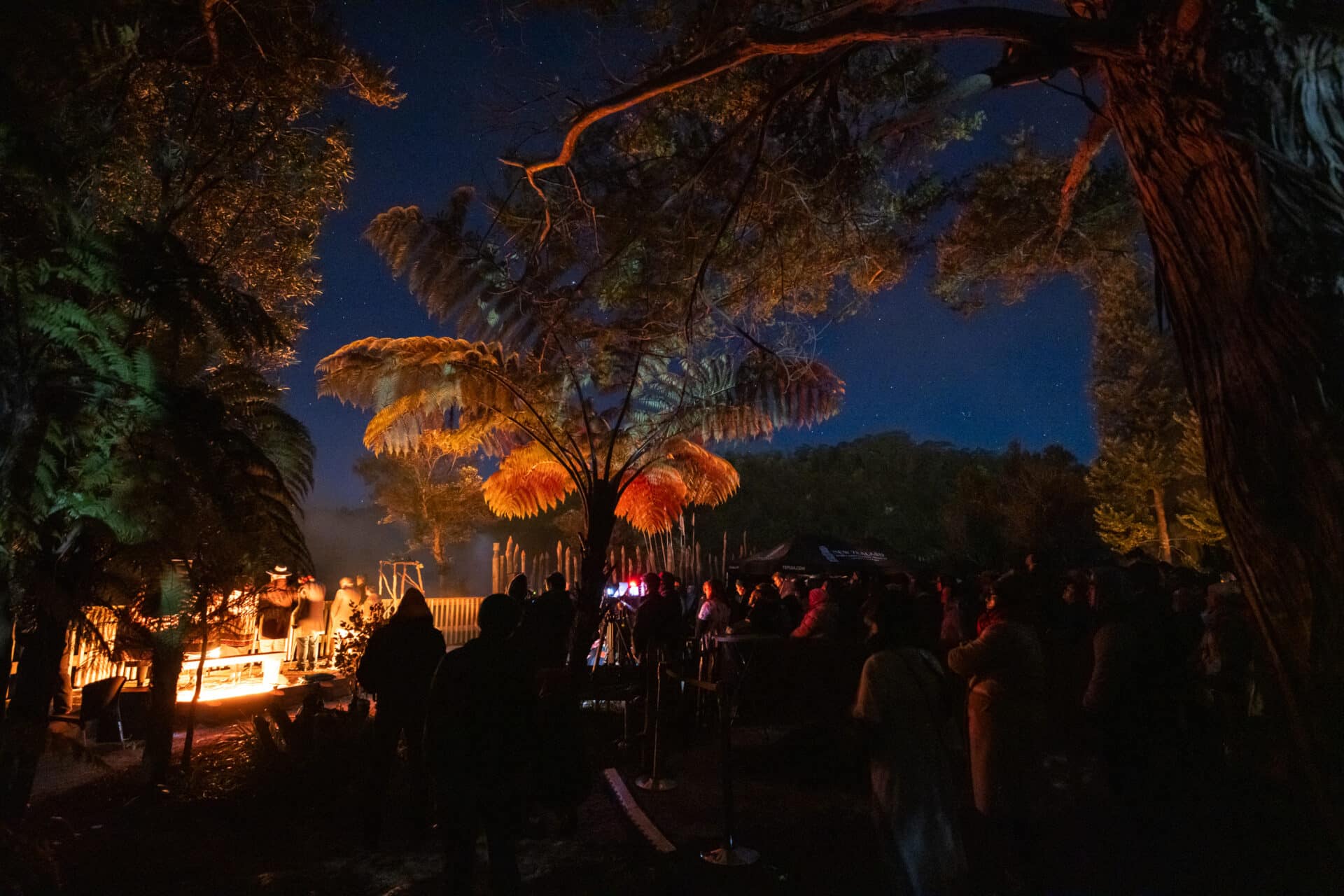 Matariki Hautapu Ceremony and Whānau Day draw crowds - Te Puia
